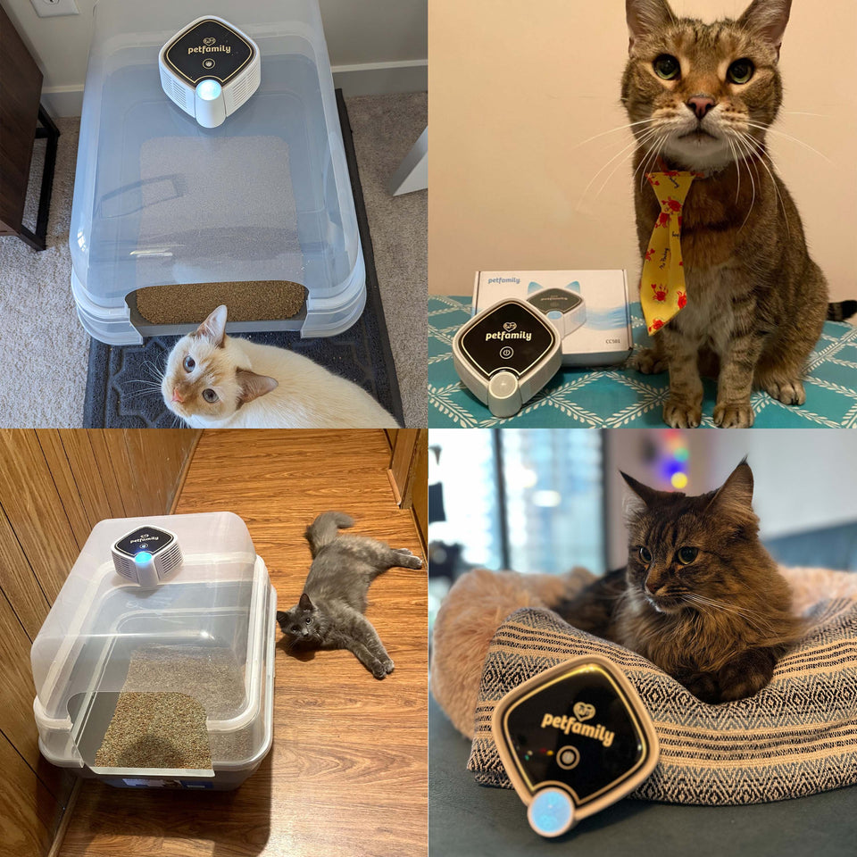 PetLiking - Simplified Daily Pet Care